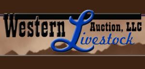 Western Livestock - CattleUSA
