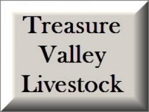 Treasure Valley - CattleUSA