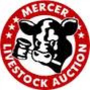 Mercer Livestock Auction Inc / Office Event on 2022-02-01 | CattleUSA