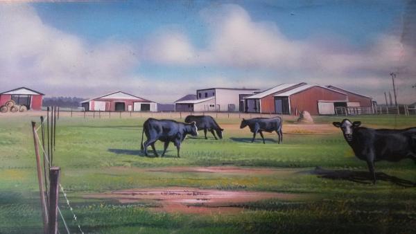 Madison Livestock - CattleUSA